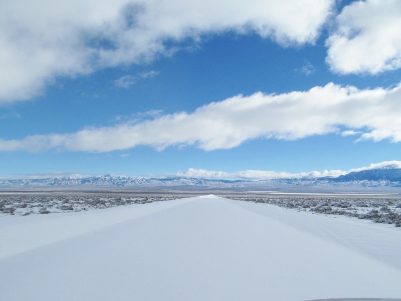 My Nevada – Jolyn Young